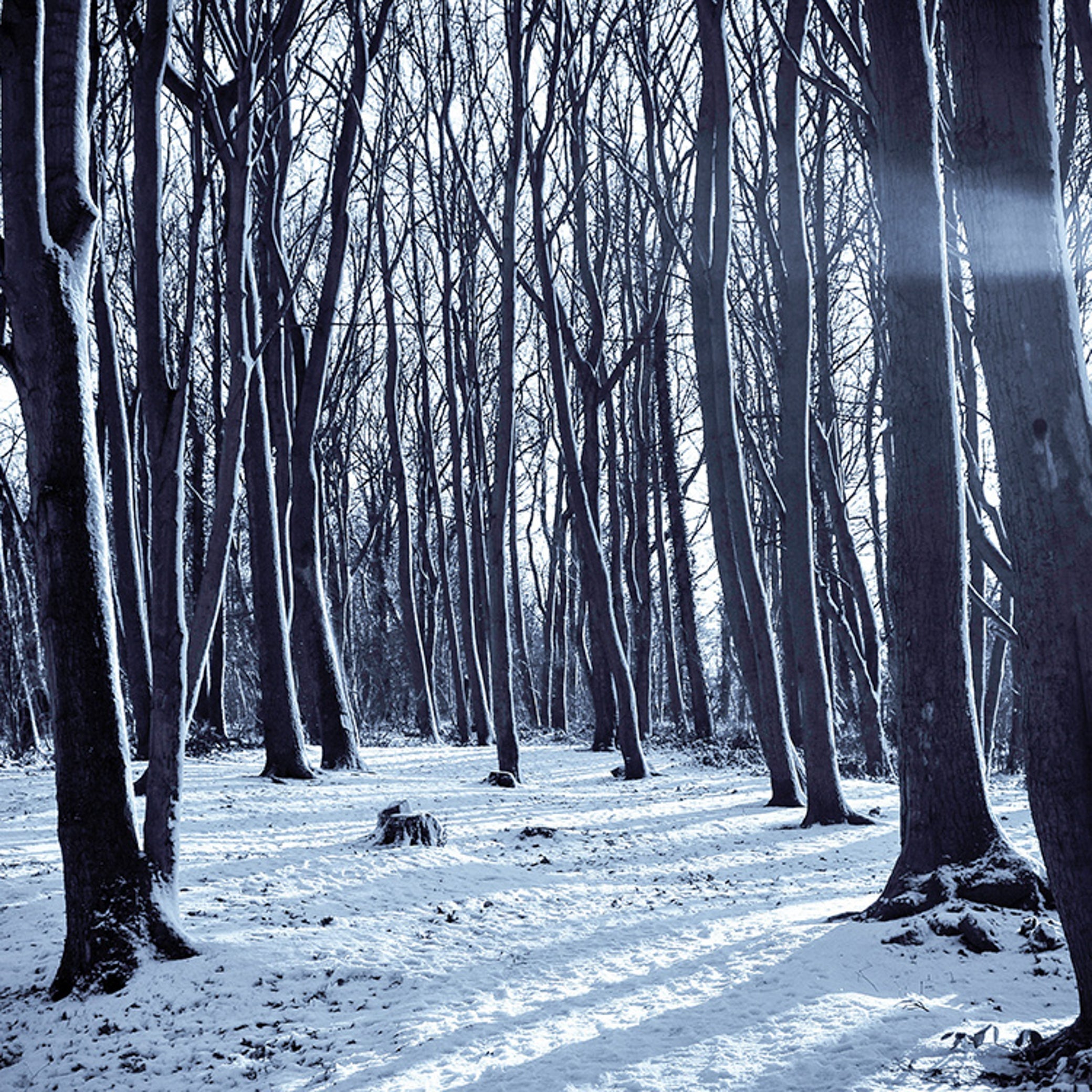 Spring in Vermont: Where Bad Weather Means Good Wood – JK Adams