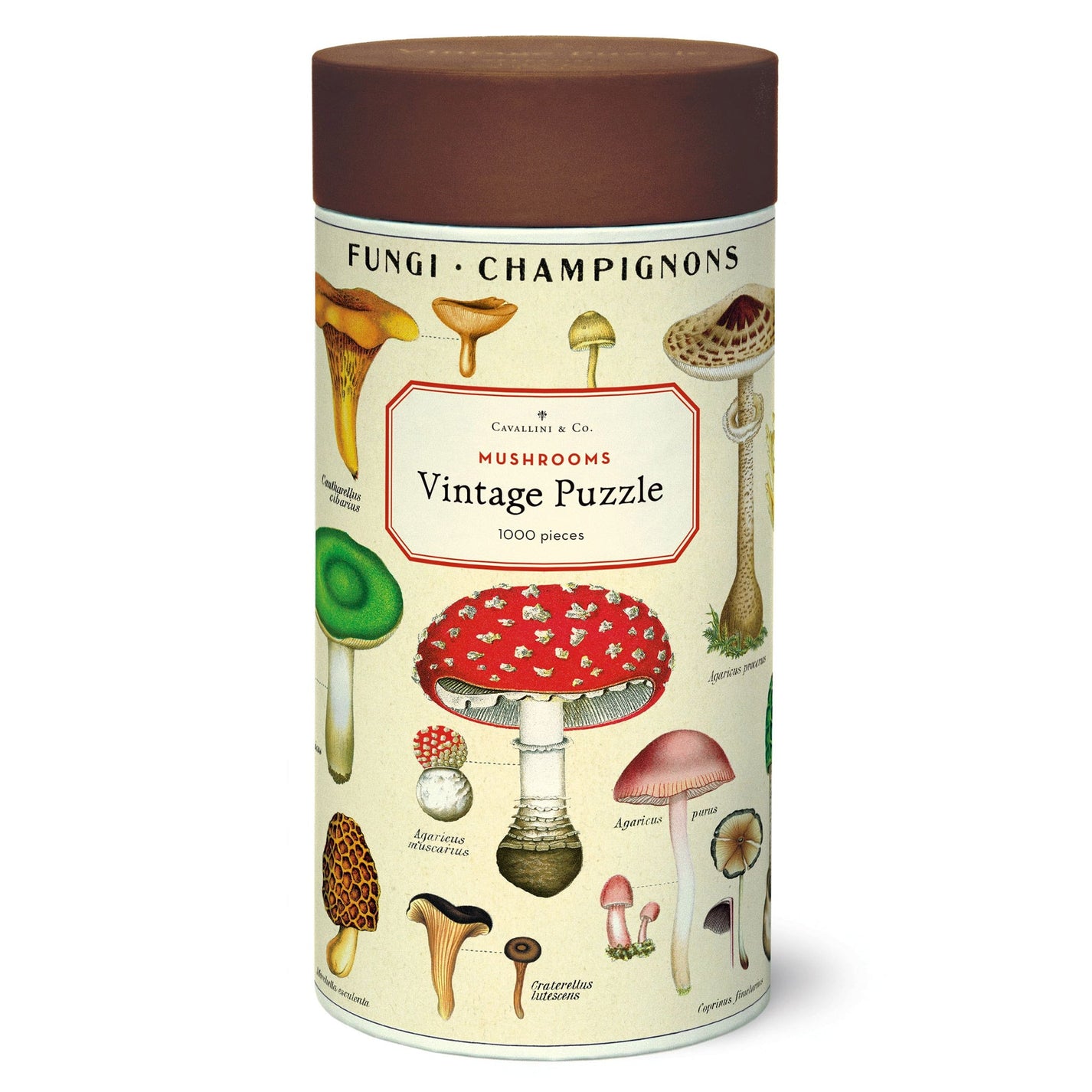 1000 Piece Puzzle-Mushrooms | JK Adams