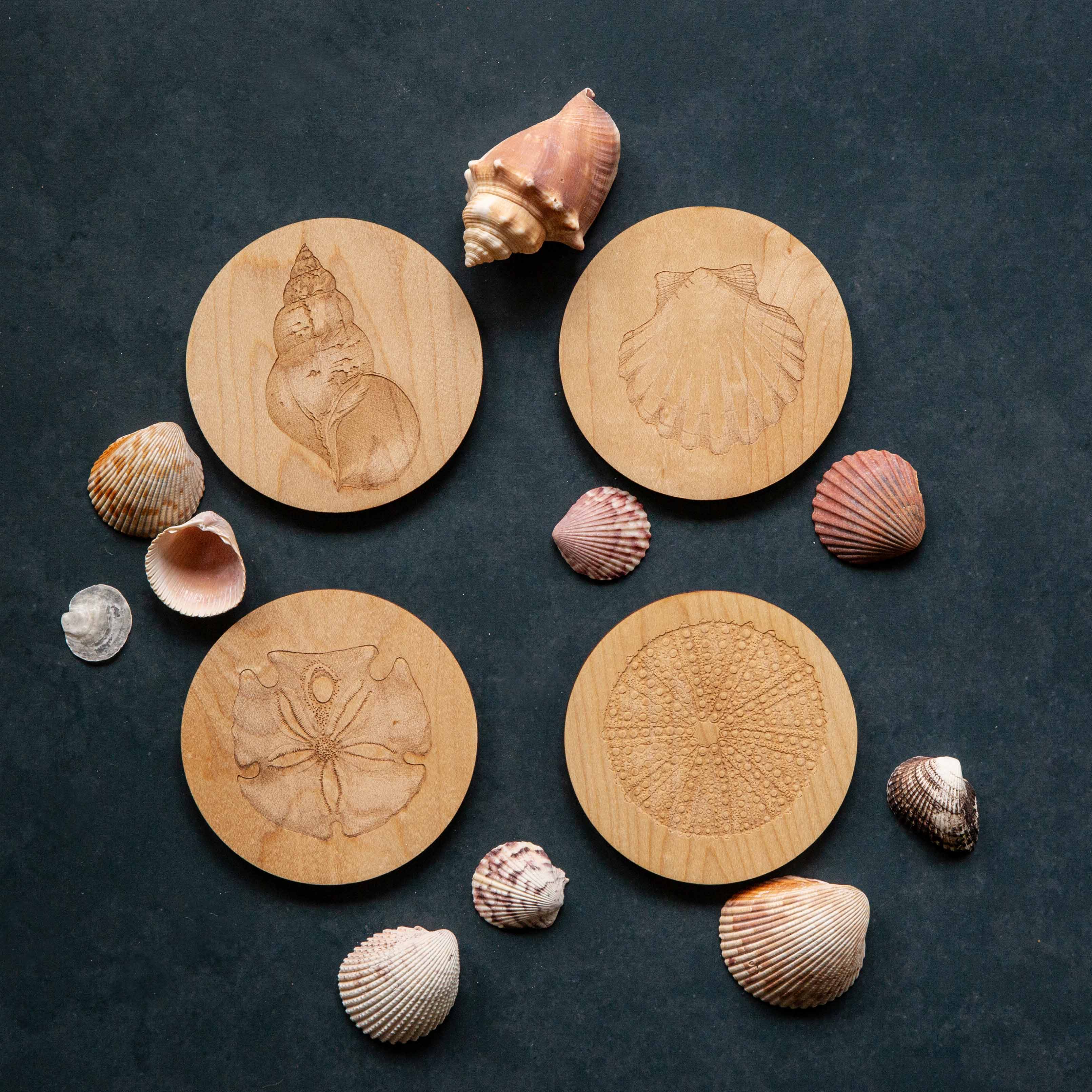 Laura Zindel Artist Collection | JK Adams