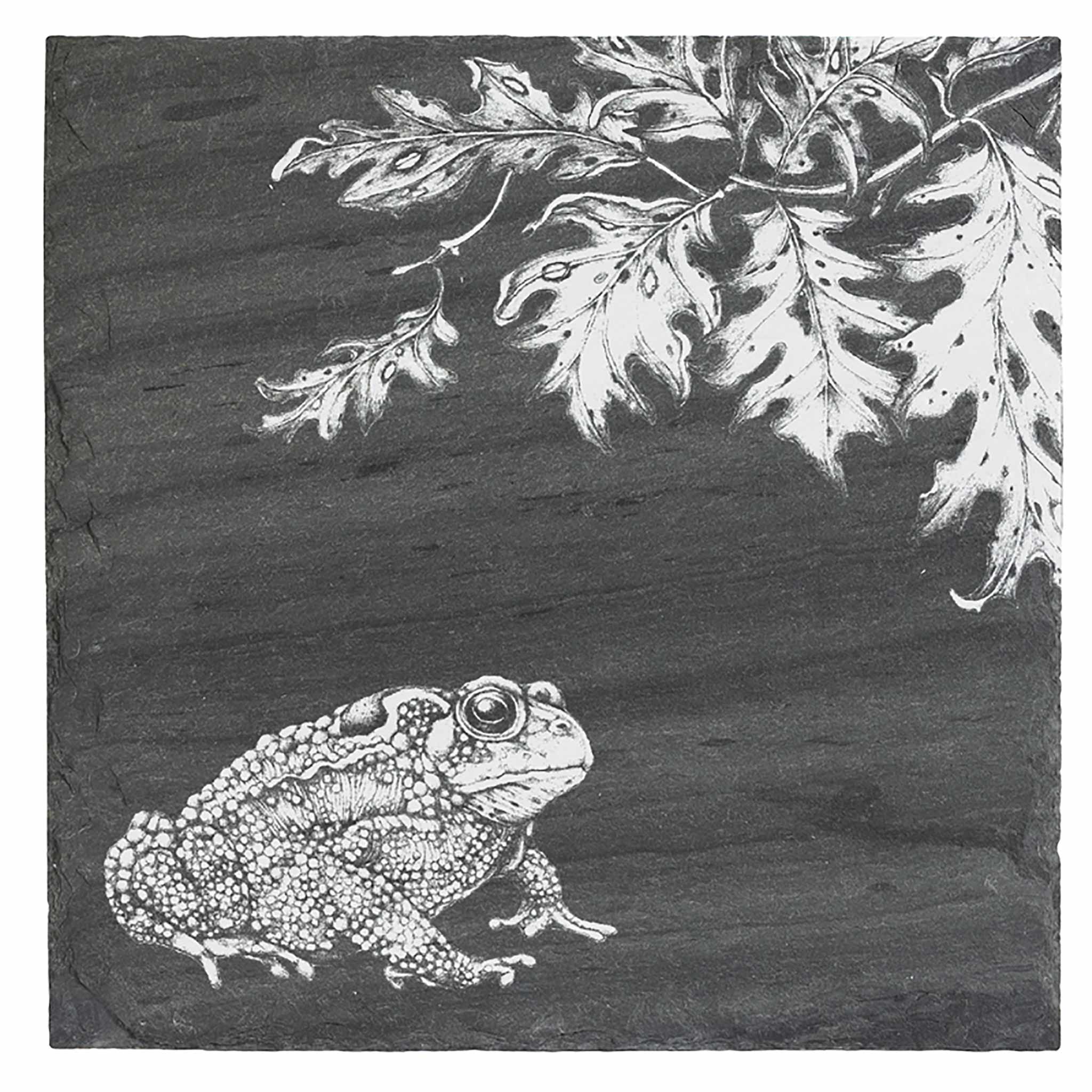 Laura Zindel Small Square Slate Serving Board-American Toad | JK Adams
